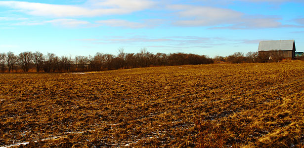 My Work With the Farming Community - Ontario Nature