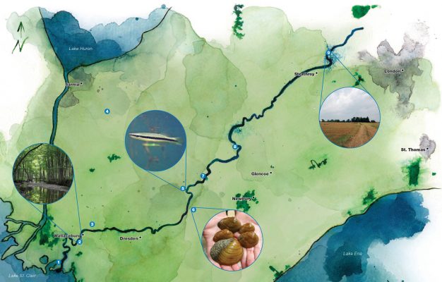 Enter the lost world of the future Sydenham River Nature Reserve ...