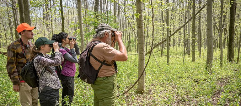 Atlassing Made Easy – A Guide to Ontario Breeding Bird Atlas 3 ...