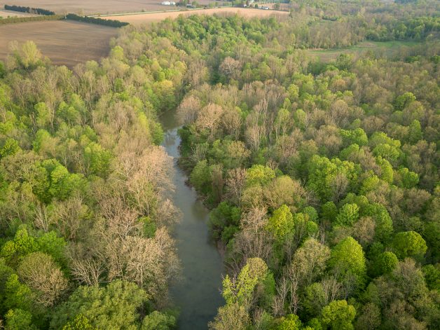 Under the Canopy: Bioblitzing at the Sydenham River Nature Reserve ...