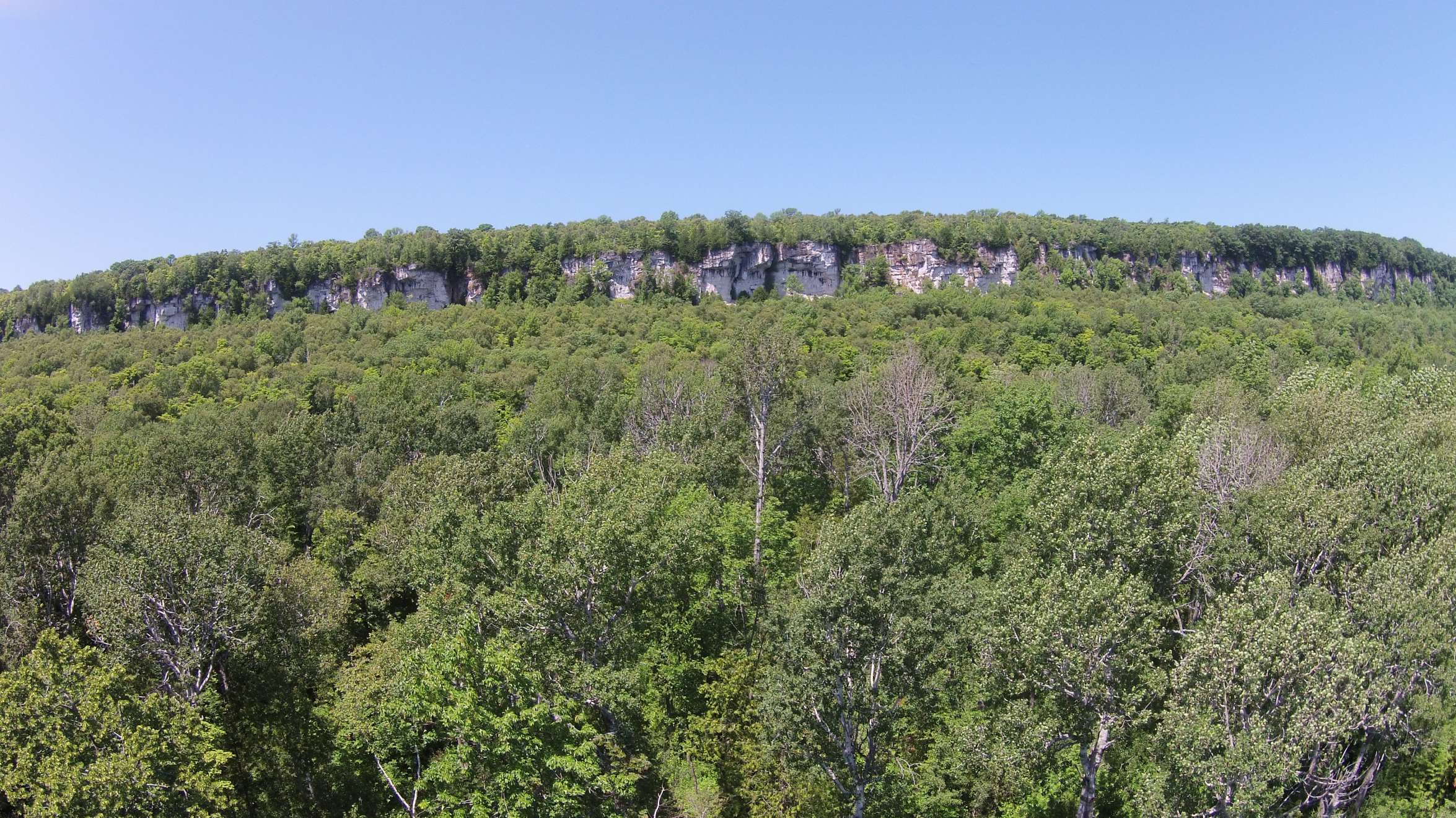 Ontario Nature's History and Milestones | Environmental Organization