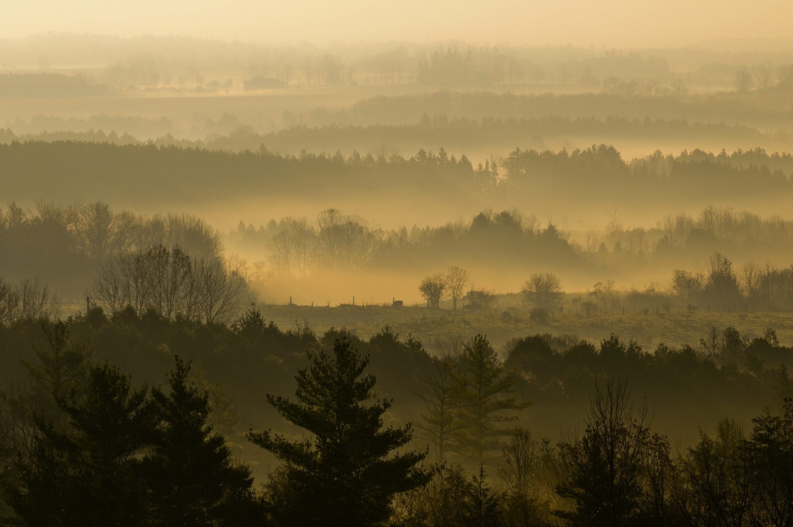 The Problems with Bill 23 and the Proposal to Remove Lands from the ...