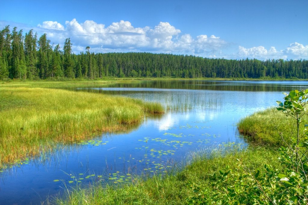 There’s No Place Like Home: Ontario’s Natural Wonders - Ontario Nature