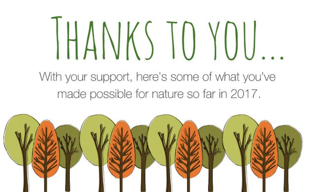 Thank you for helping to protect nature in Ontario – Ontario Nature blog