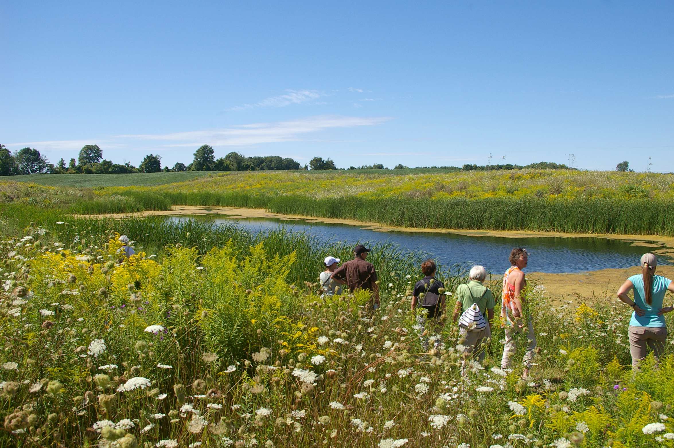 Alternative Land Use | Nature Conservation in Ontario | Ontario Nature