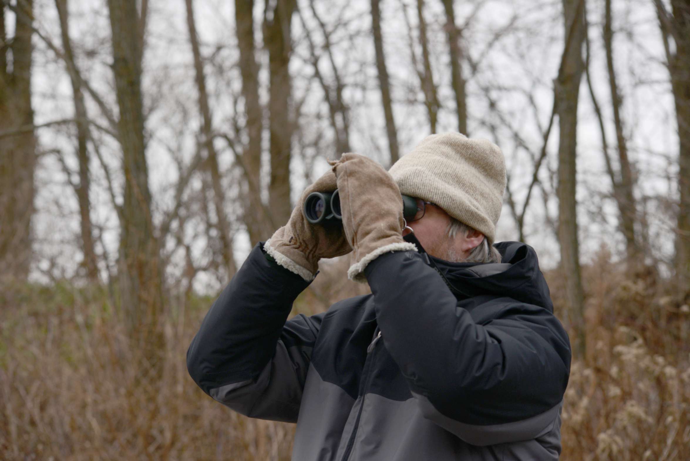 Christmas Bird Counts | Find one near you - Ontario Nature
