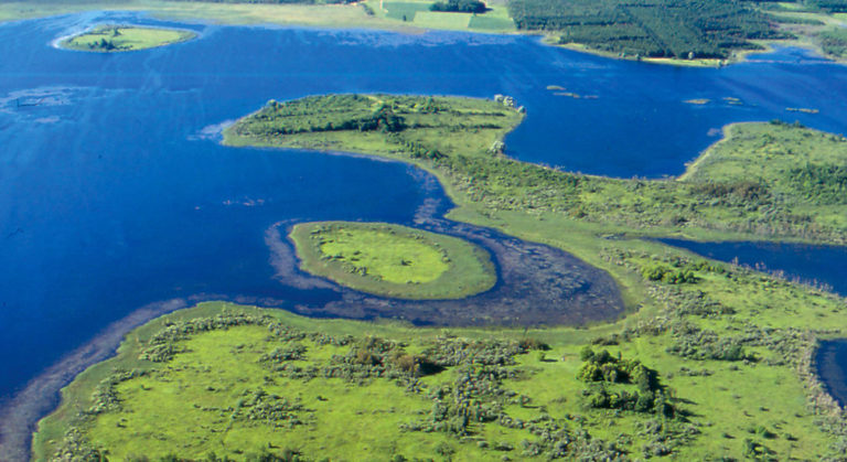 On World Wetlands Day, Help Protect Ontario’s Wetlands - Ontario Nature