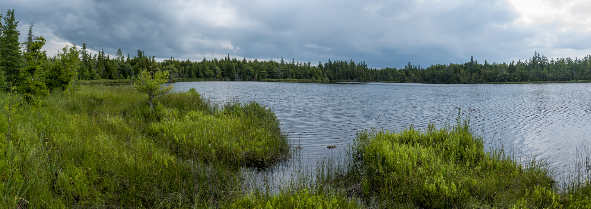 Gift Catalogue | Ontario Nature | Donate to Protect Nature