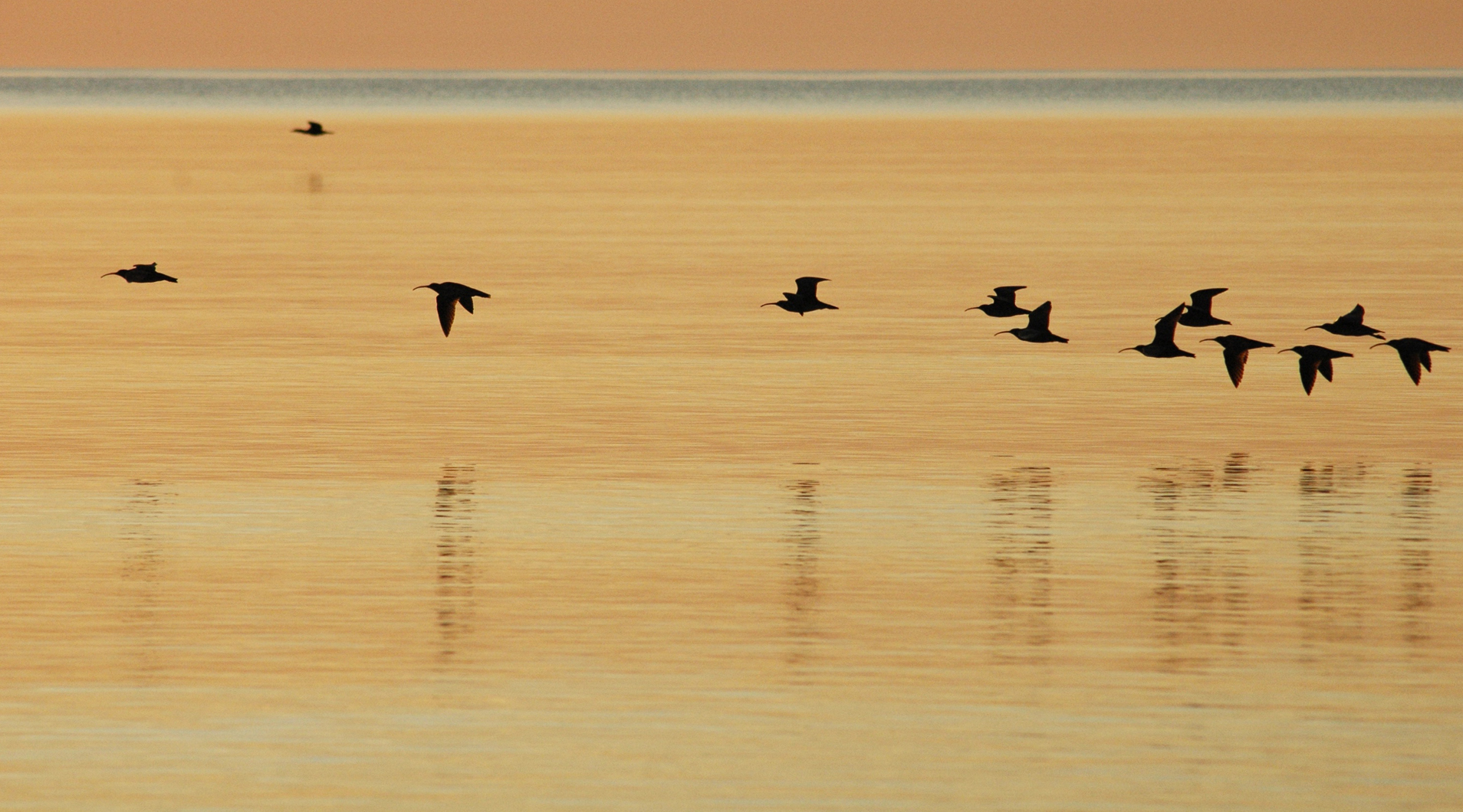Fred Bodsworth’s Legacy of Dedication to Nature - Ontario Nature