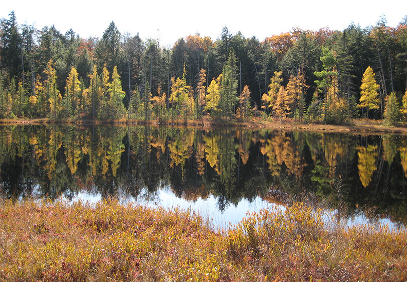 A Young Voice for Conservation - Ontario Nature