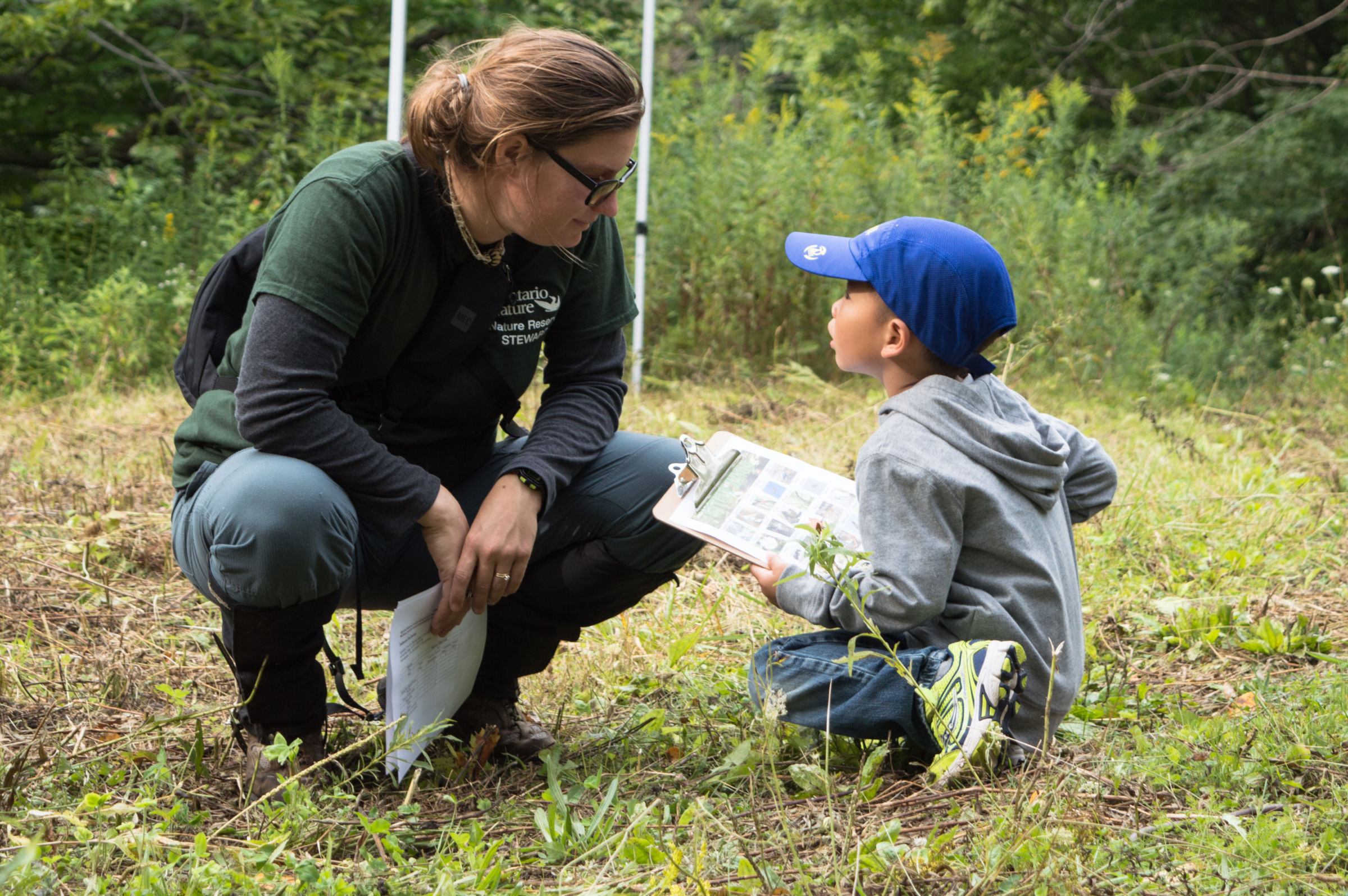 Make Your Voice Count by Voting in the Ontario Election - Ontario Nature