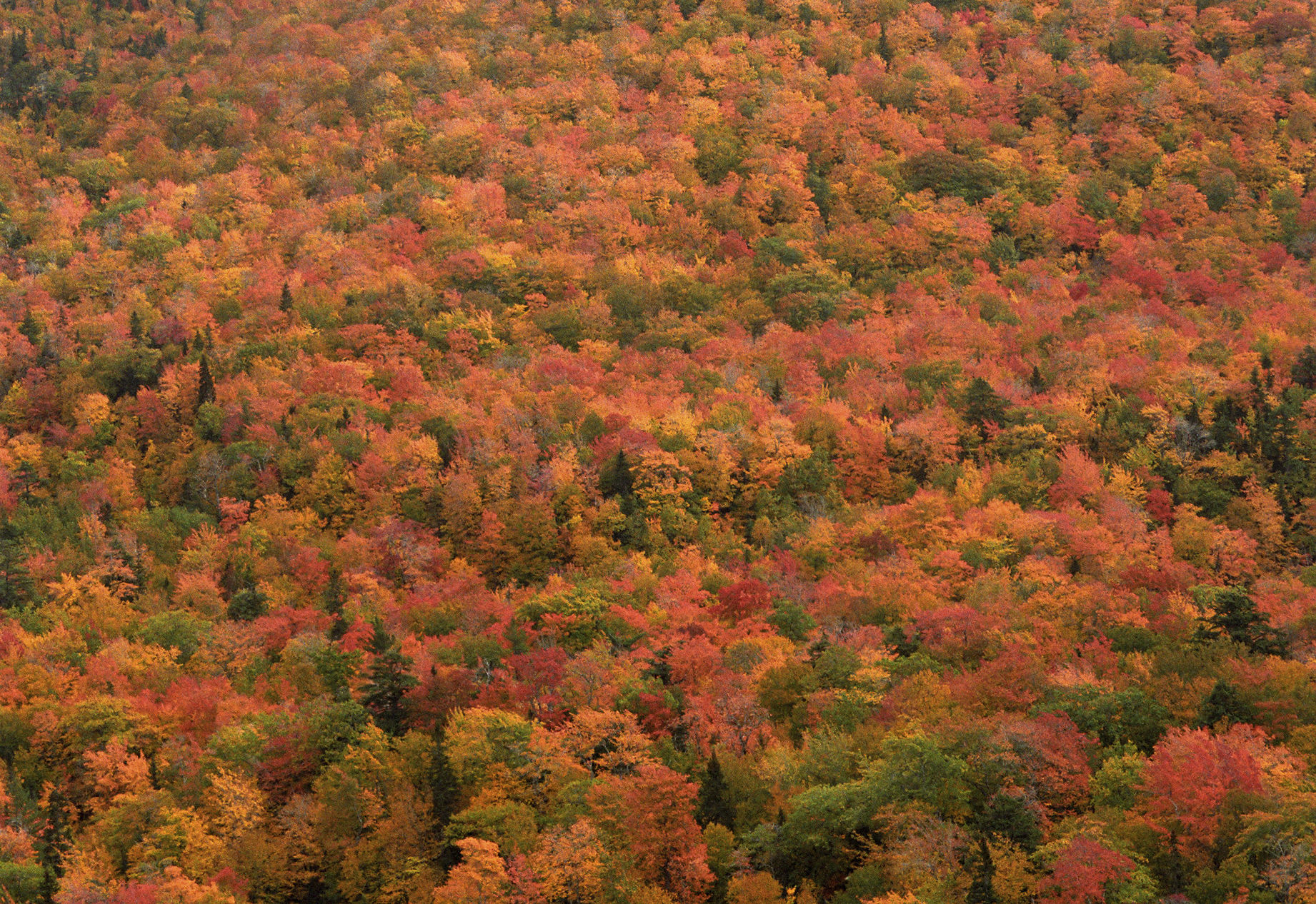 Media Coverage Archives - Ontario Nature