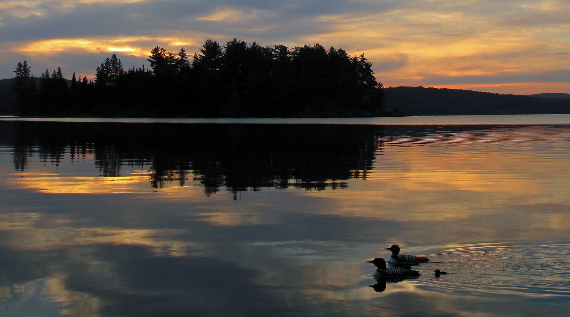 Our response to COVID-19 - Ontario Nature