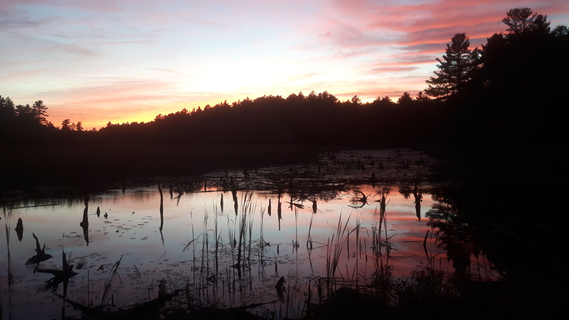 Local Support Overflows for Jack Lake - Ontario Nature