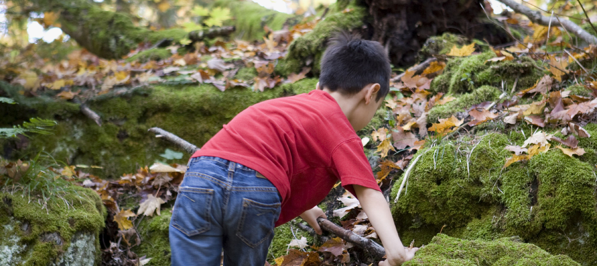 Connecting Young People with Nature – Blog - Ontario Nature