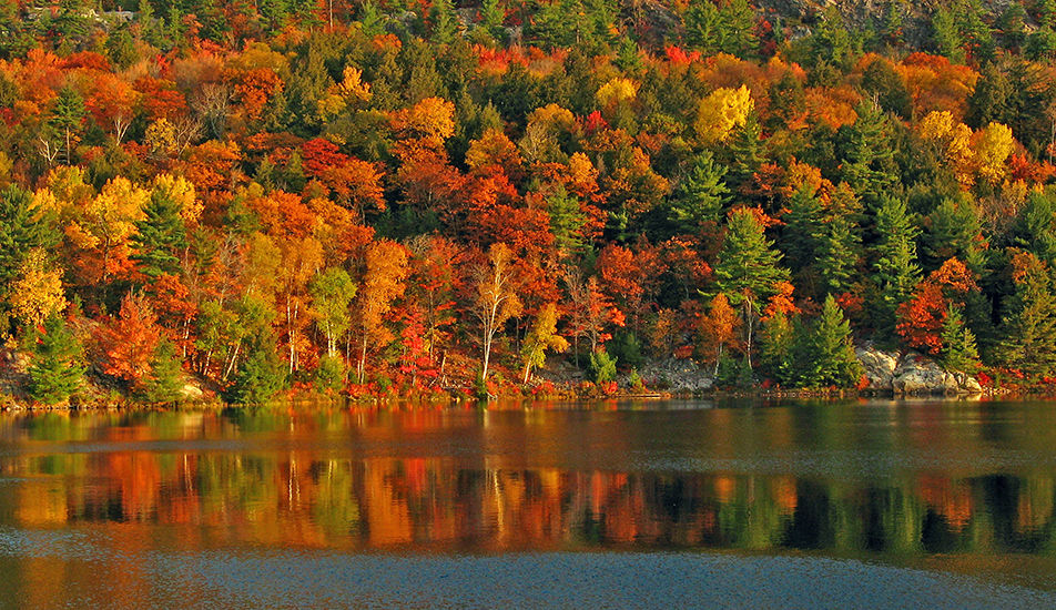 ON Nature Fall 2021 - Ontario Nature