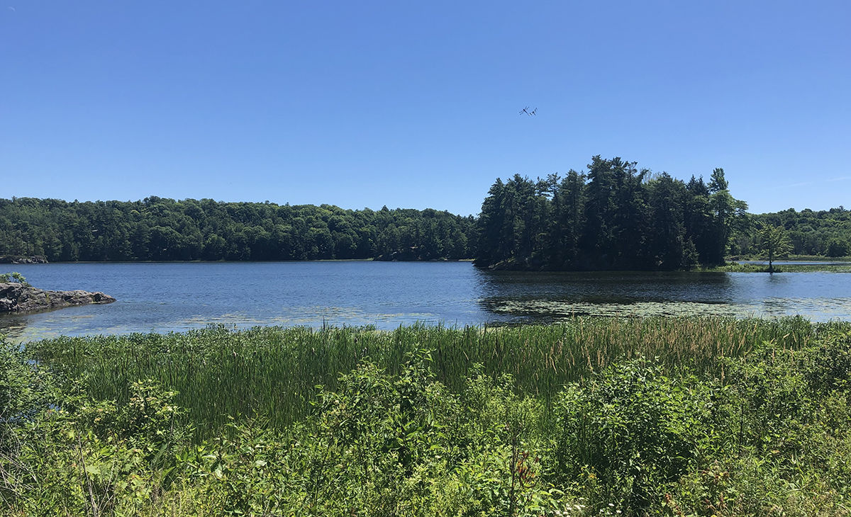 Visiting Our Nature Reserves Update - Ontario Nature