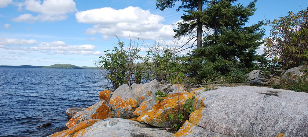 People Want More Special Places Protected in Ontario - Ontario Nature