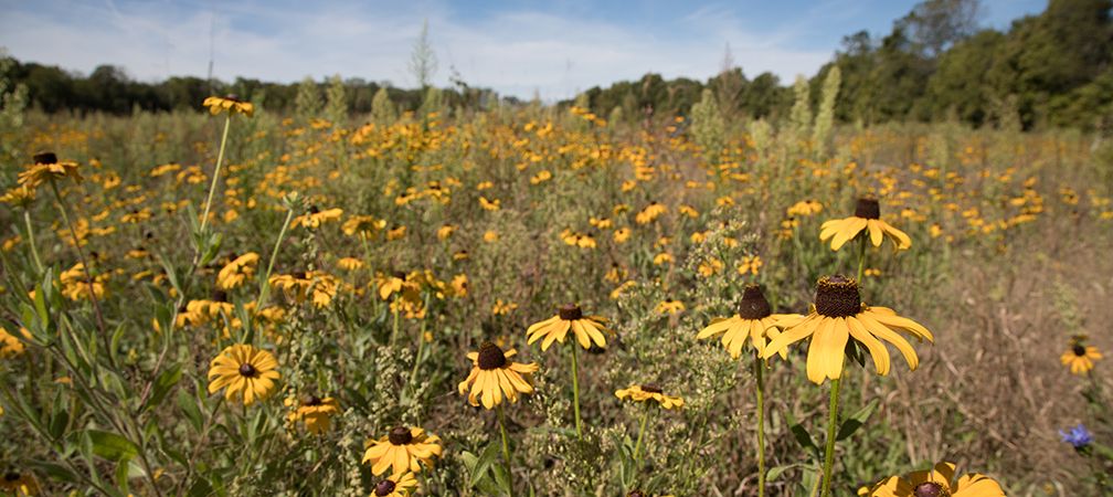 Making our Nature Reserves Count - Ontario Nature