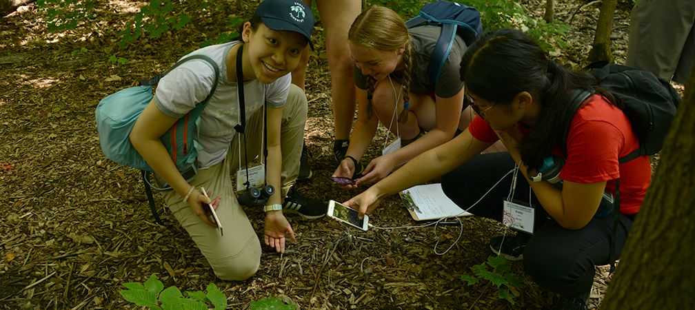 Community Science: Connecting Through Curiosity and Shared Conservation ...