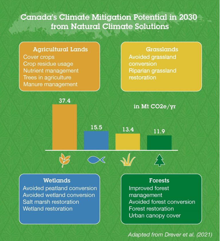 Part I: Diving into Natural Climate Solutions - Ontario Nature