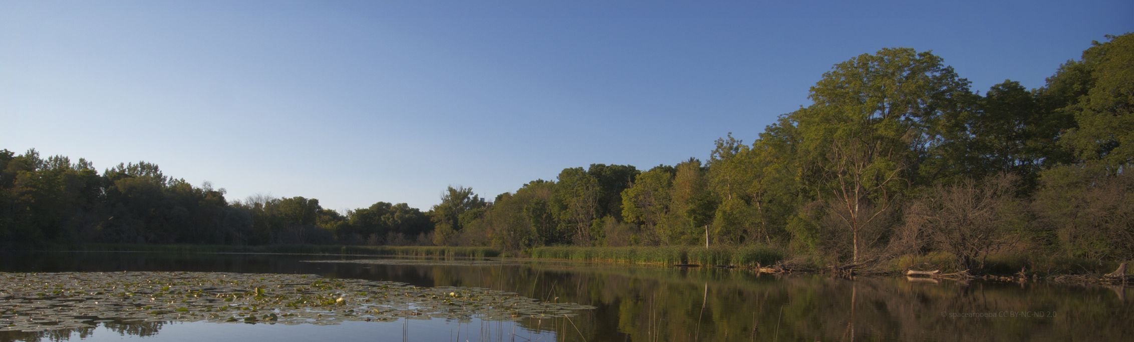 Green Spaces in Kitchener Now Qualified as Protected Areas - Ontario Nature
