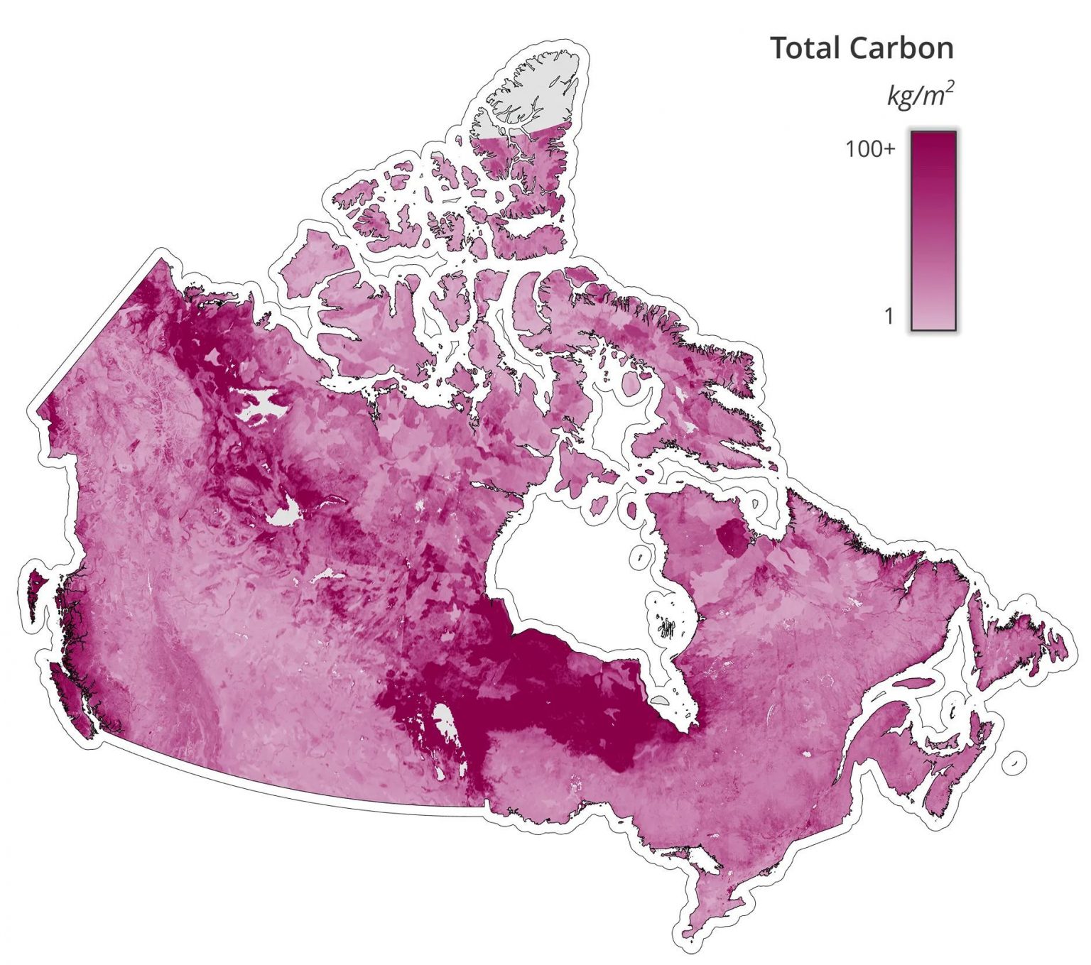 Evaluating Carbon Storage in Forest Stewardship Council Designated ...