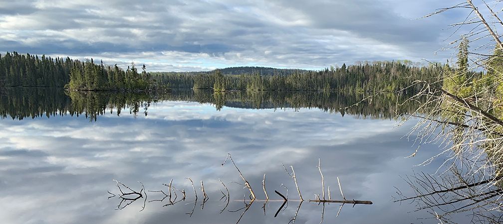 Birding to Protect the Places We Love: Wabakimi Provincial Park ...