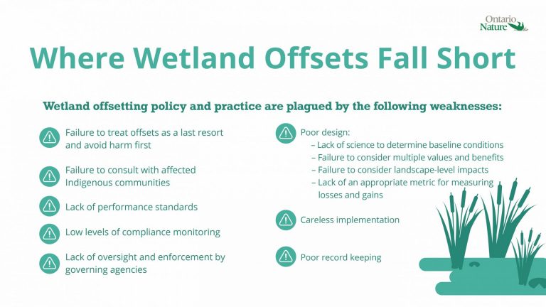 Wetland Offsetting – Does it Really Work? - Ontario Nature