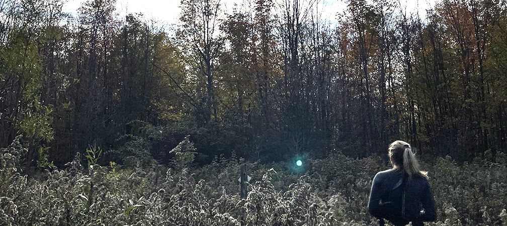 WANTED: Volunteer Stewards for Baptist Harbour and Wilfrid G. Crozier ...