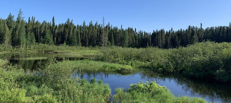 Setting the Record Straight on Wetland Protection in Northern Ontario ...