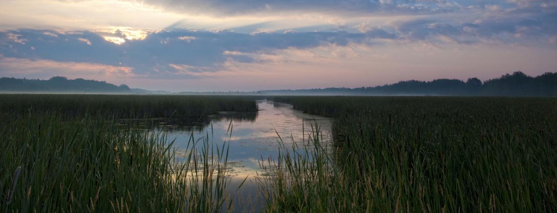 A Primer on Wetland Offsetting in Ontario - Ontario Nature