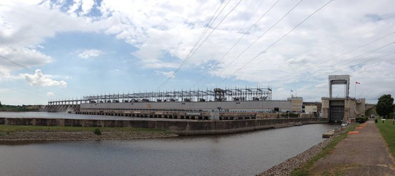 Searching for Sustainability – Four Green Search Engines You Should Try ...