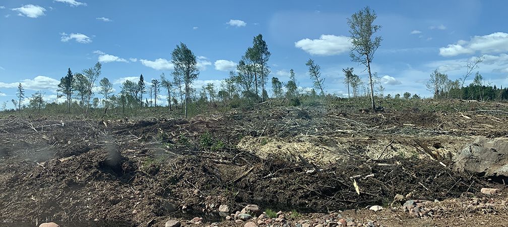 Four of the Ways the Province is Failing to Protect Nature - Ontario Nature