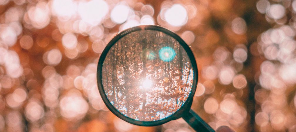 Searching for Sustainability – Four Green Search Engines You Should Try ...