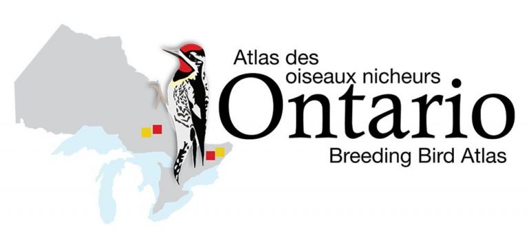 Atlassing Made Easy – A Guide to Ontario Breeding Bird Atlas 3 ...