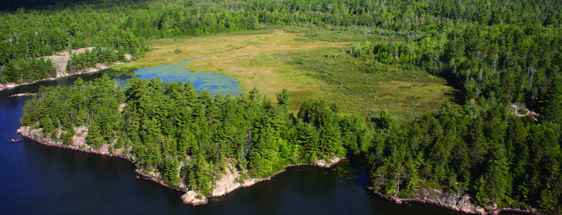 Ontario’s Wetlands: A Nature-based Climate Solution - Ontario Nature