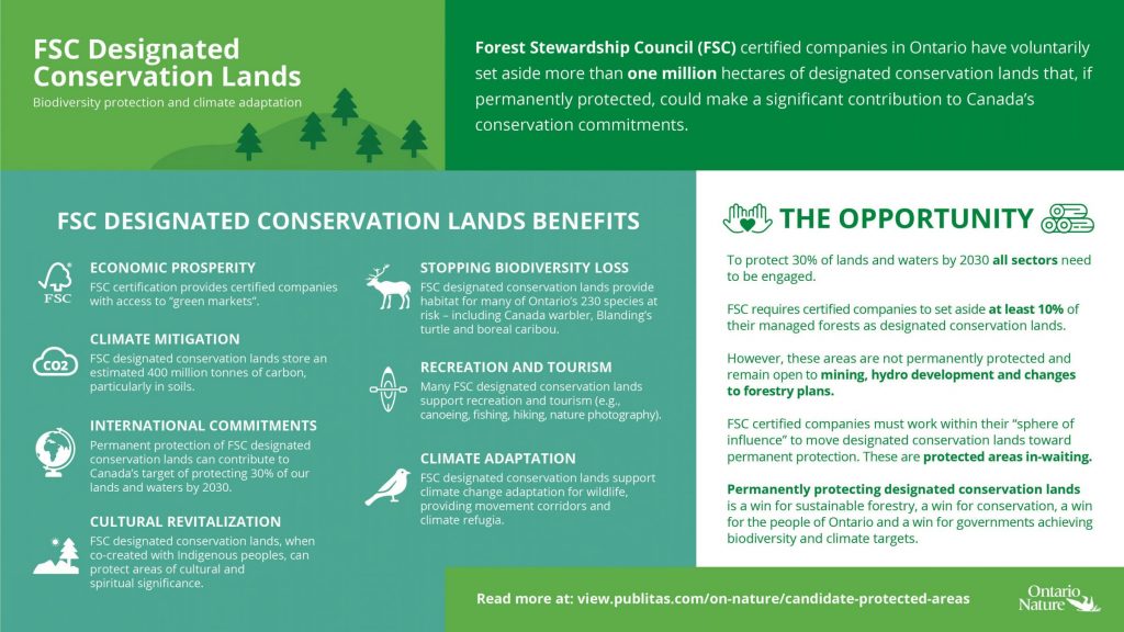 Opportunity to Protect Nearly One Million Hectares of Forest - Ontario ...