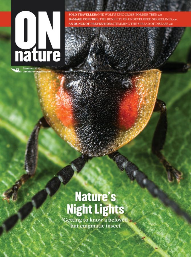 » ON Nature Magazine Summer 2023