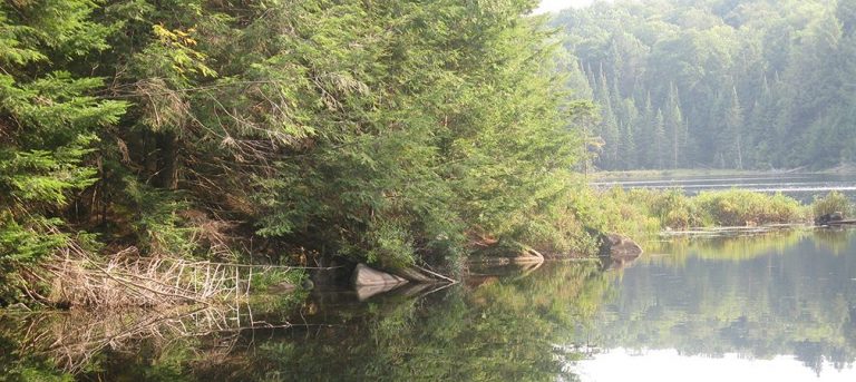 » Best Hiking Trails to Visit in Ontario