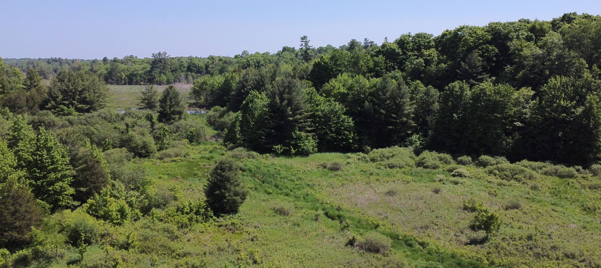 Ontario Nature Expands the Lost Bay Nature Reserve - Ontario Nature