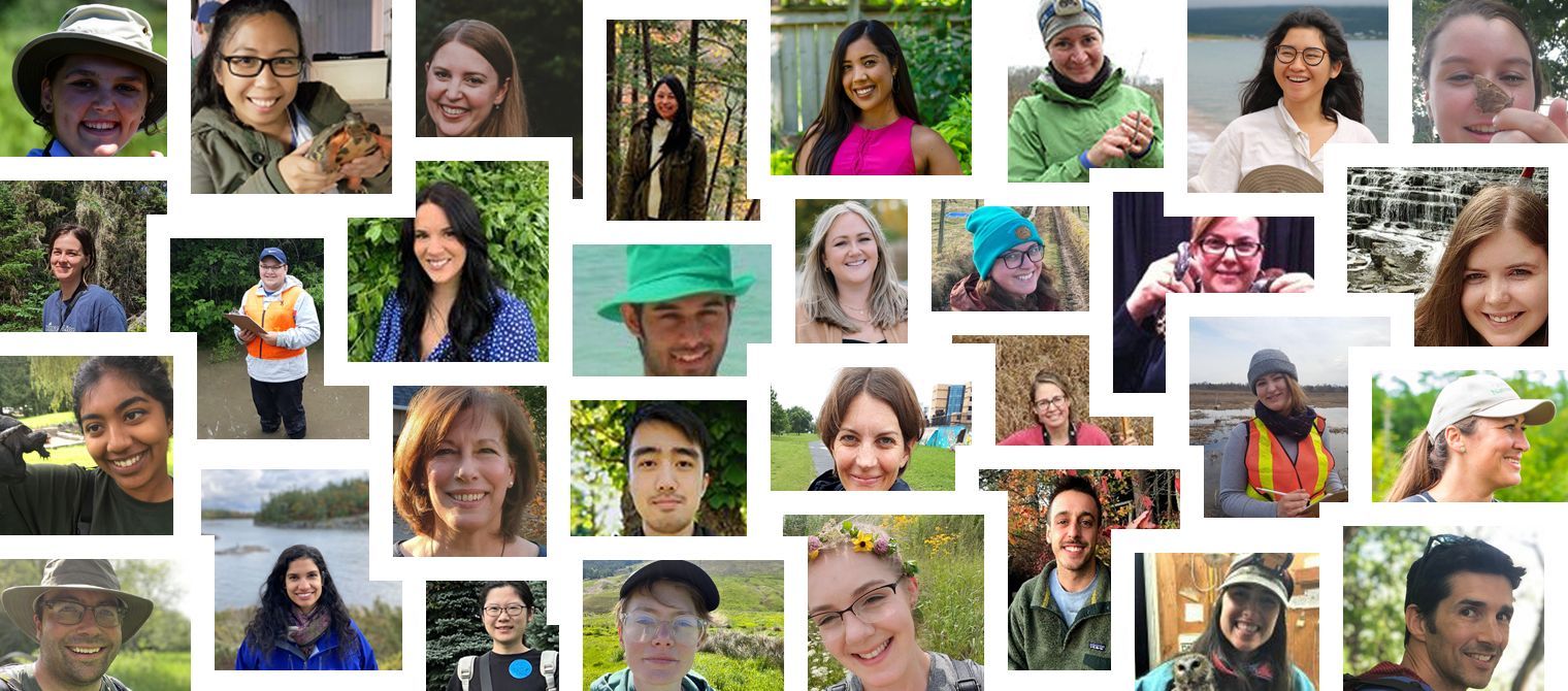Staff Collage - Ontario Nature