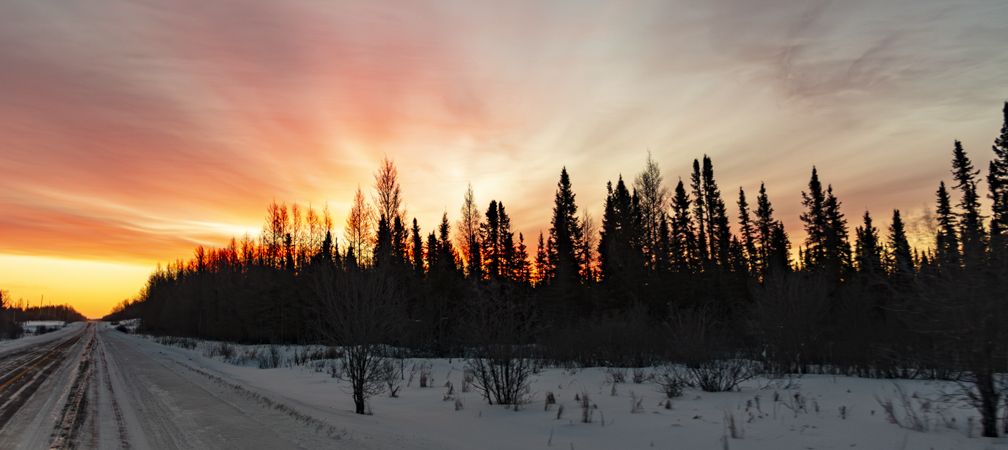 Zombie Fires Burning in the Peat - Ontario Nature