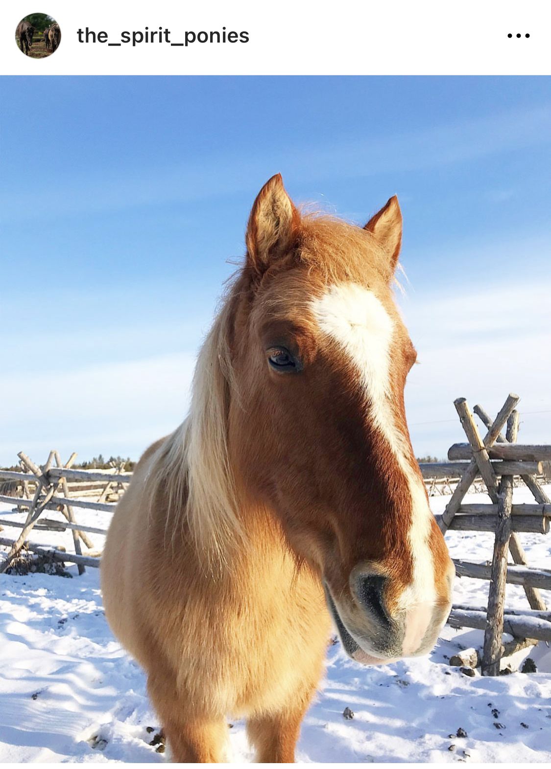 » Exploring Ontario’s Wild Charms: A Guide to Sustainable Travel and ...