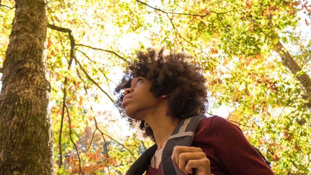 Bill C-226 Is a Step in the Right Direction - Ontario Nature