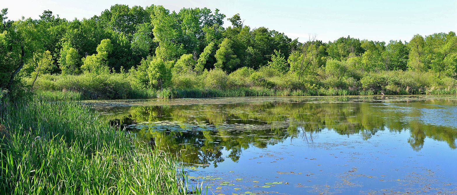 City of Brampton and TRCA contribute over 1900 hectares of natural heritage lands towards Canada ...