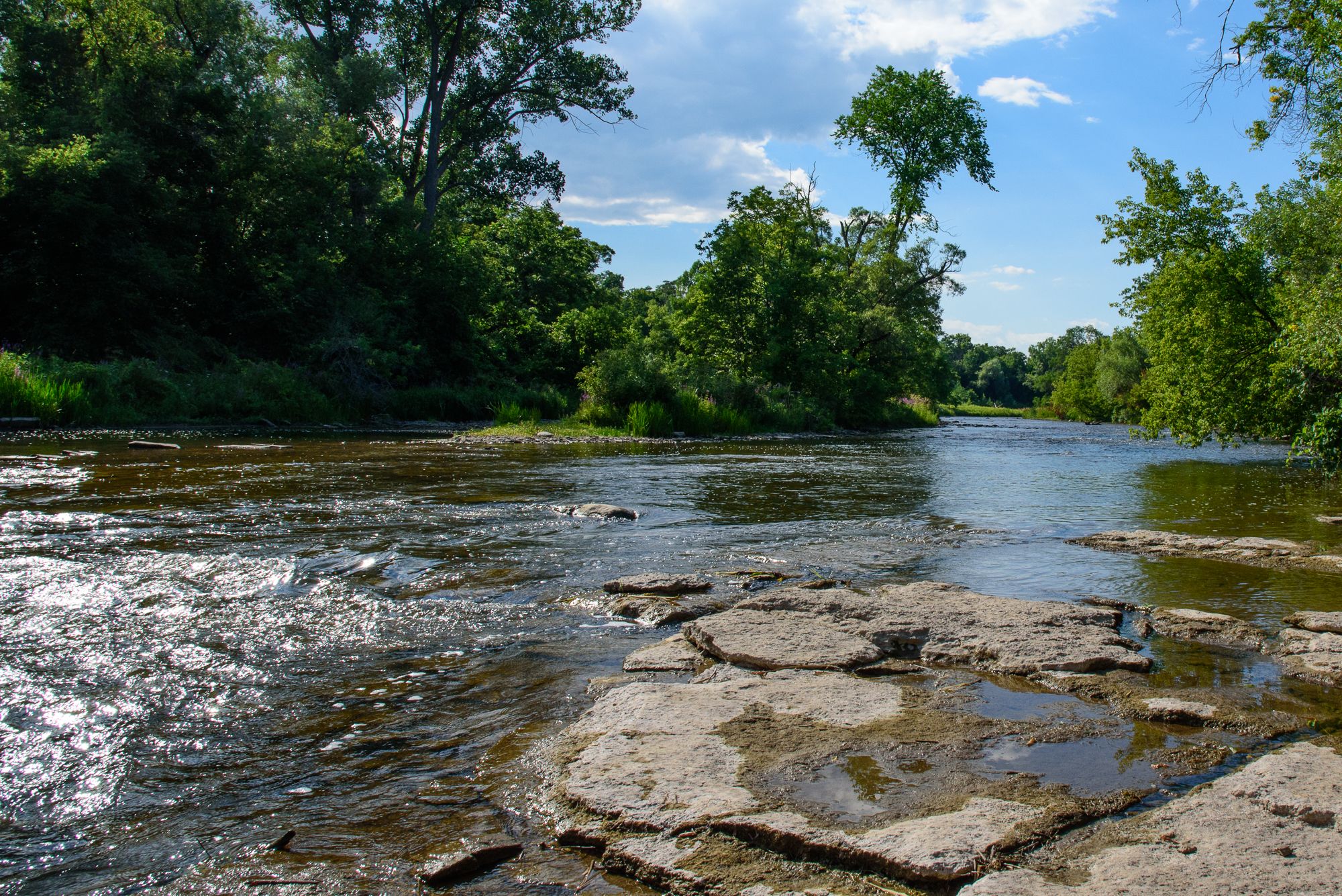 Ontario Nature’s Analysis of Bill 212 and the Highway 413 Act - Ontario ...