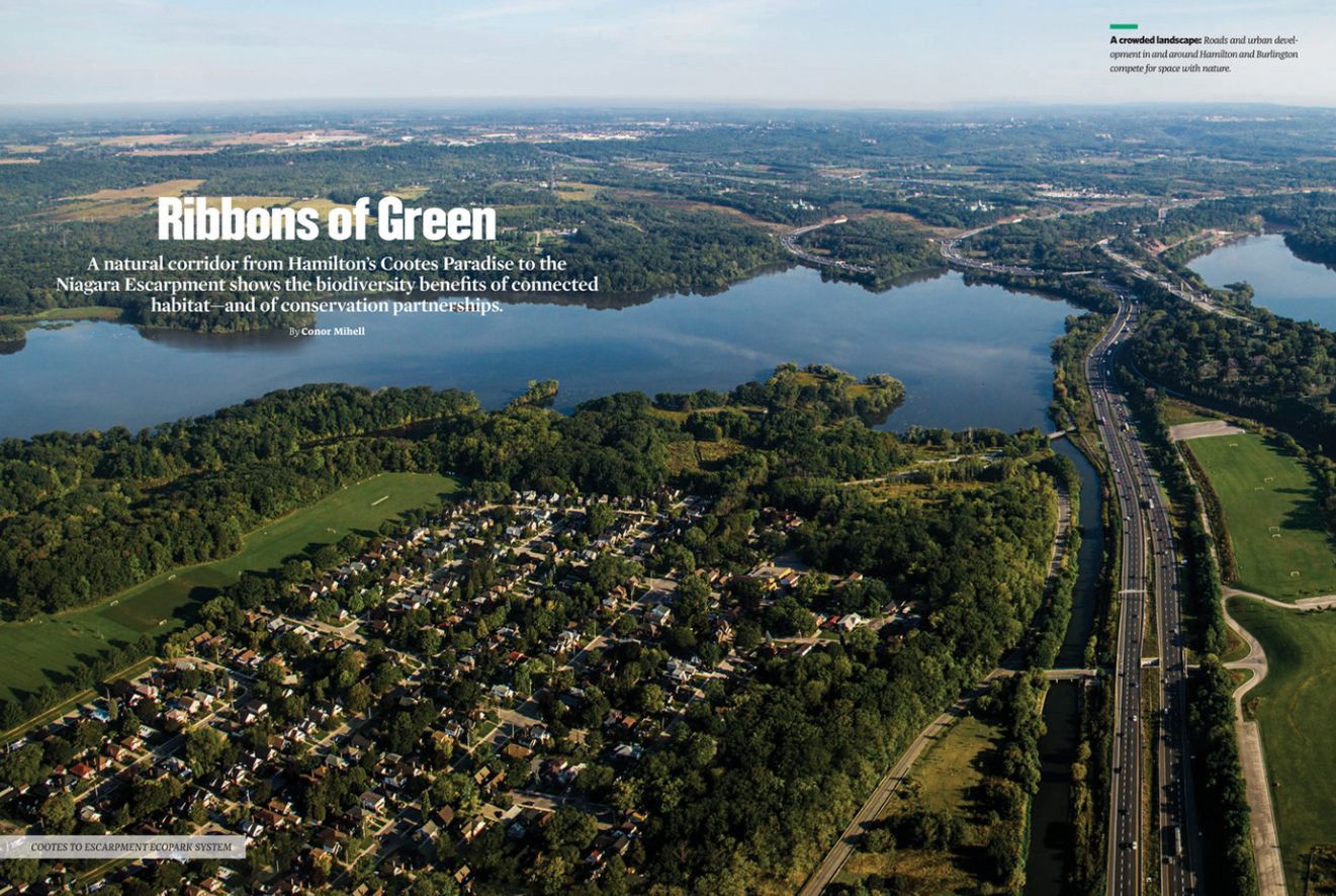 Ontario Nature Job Opportunities | Environmental Conservation in Ontario