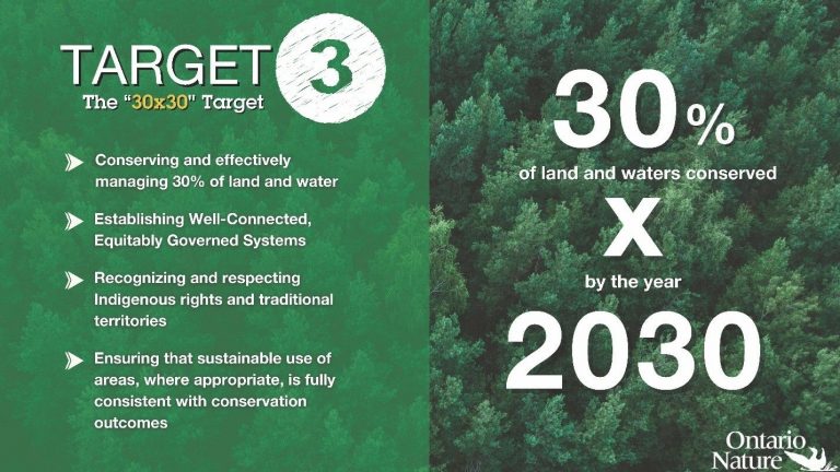 Local Contributions of Protected Areas Support National 30x30 Target ...