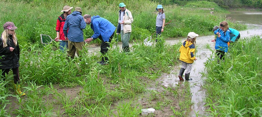 Below the Surface: The Hidden World of Benthic Macroinvertebrates ...
